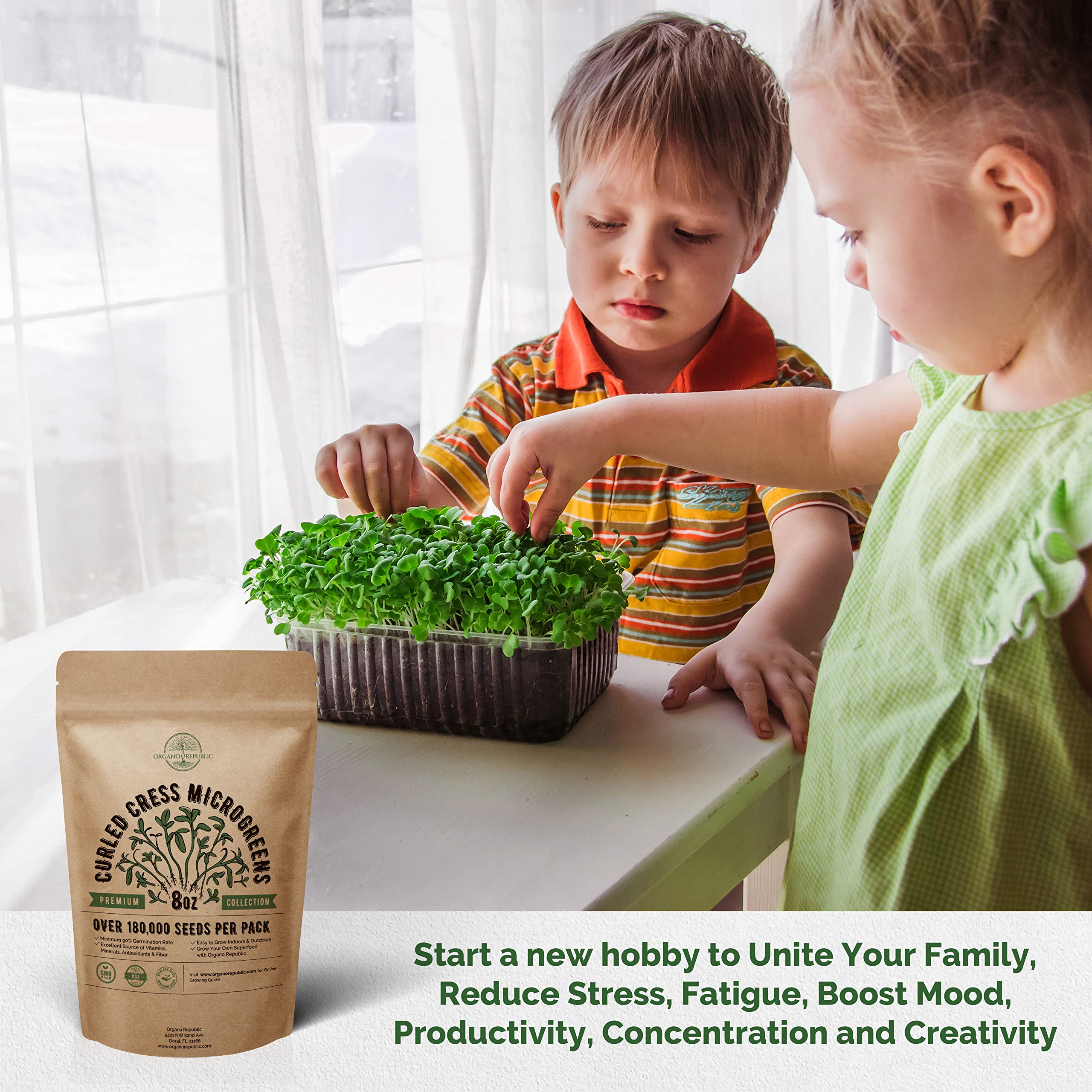 Organo Republic Cress Sprouting & Microgreens Seeds - Non-GMO, Heirloom Sprout Seeds Kit, 8oz Resealable Bag for & Growing Microgreens in Soil, Coconut Coir, Aerogarden & Hydroponic System.