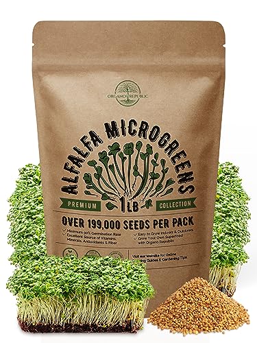 Organo Republic Alfalfa Sprouting & Microgreens Seeds - Non-GMO, Heirloom Sprout Seeds Kit in Bulk 1lb Resealable Bag for Planting in Soil, Coconut Coir, Garden, Hydroponic System