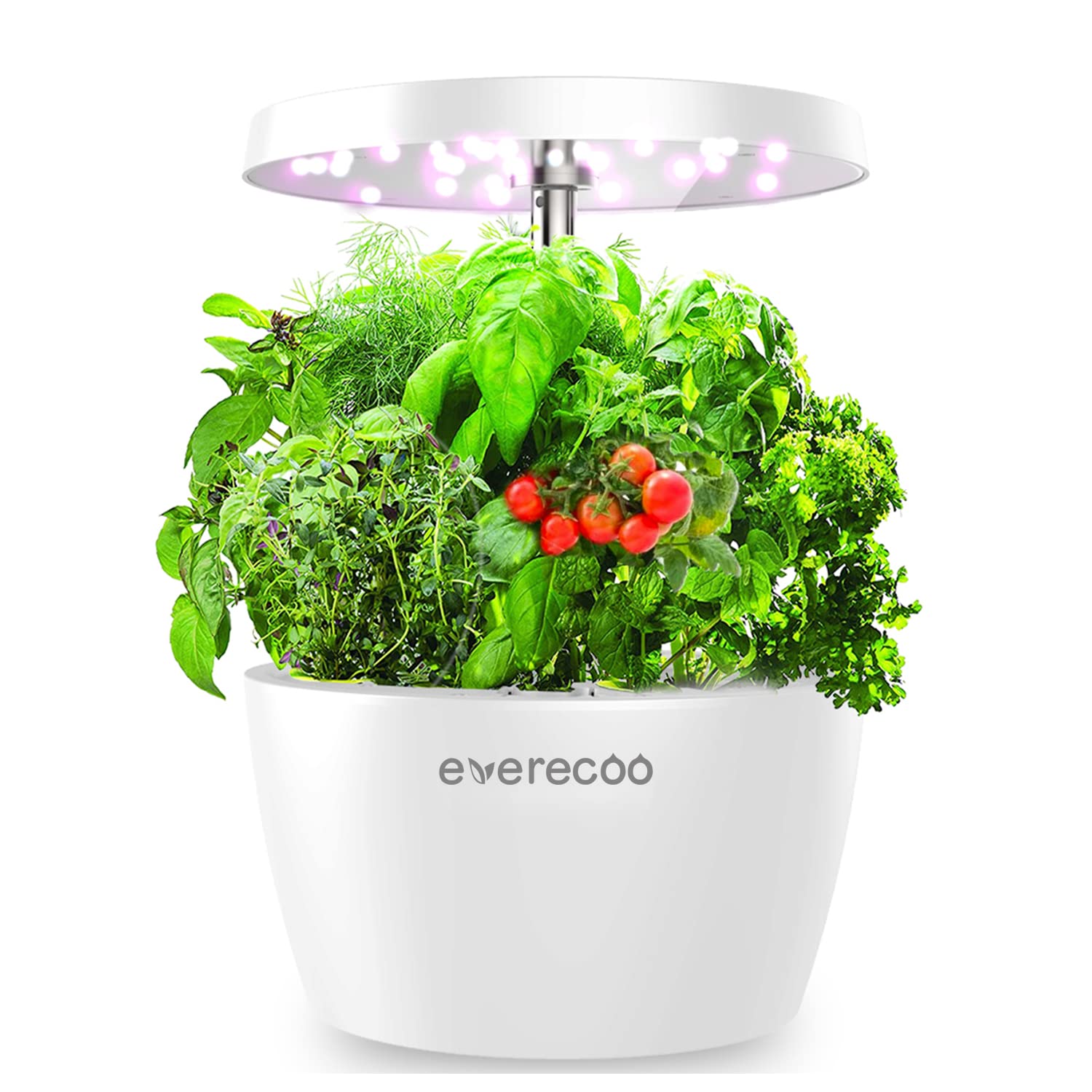 EVERECOO Hydroponics Growing System, 4 Pods Indoor Herb Gardening System with LED Grow Lights, Automatic Timer and Pump, Hydroponic Plant Germination Kits for Vegetable/Lettuce