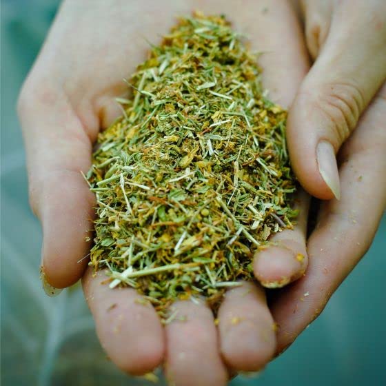 St. Johns Wort Seeds - 1/4 Pound - Herb Seeds, Open Pollinated Seed Attracts Bees, Attracts Pollinators, Ground Cover