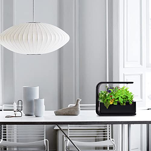 Elevon Hydroponics Growing System, Indoor Garden with LED Grow Light, Plants Germination Kit, Adjustable Height, for Indoor Home Kitchen Office, Black