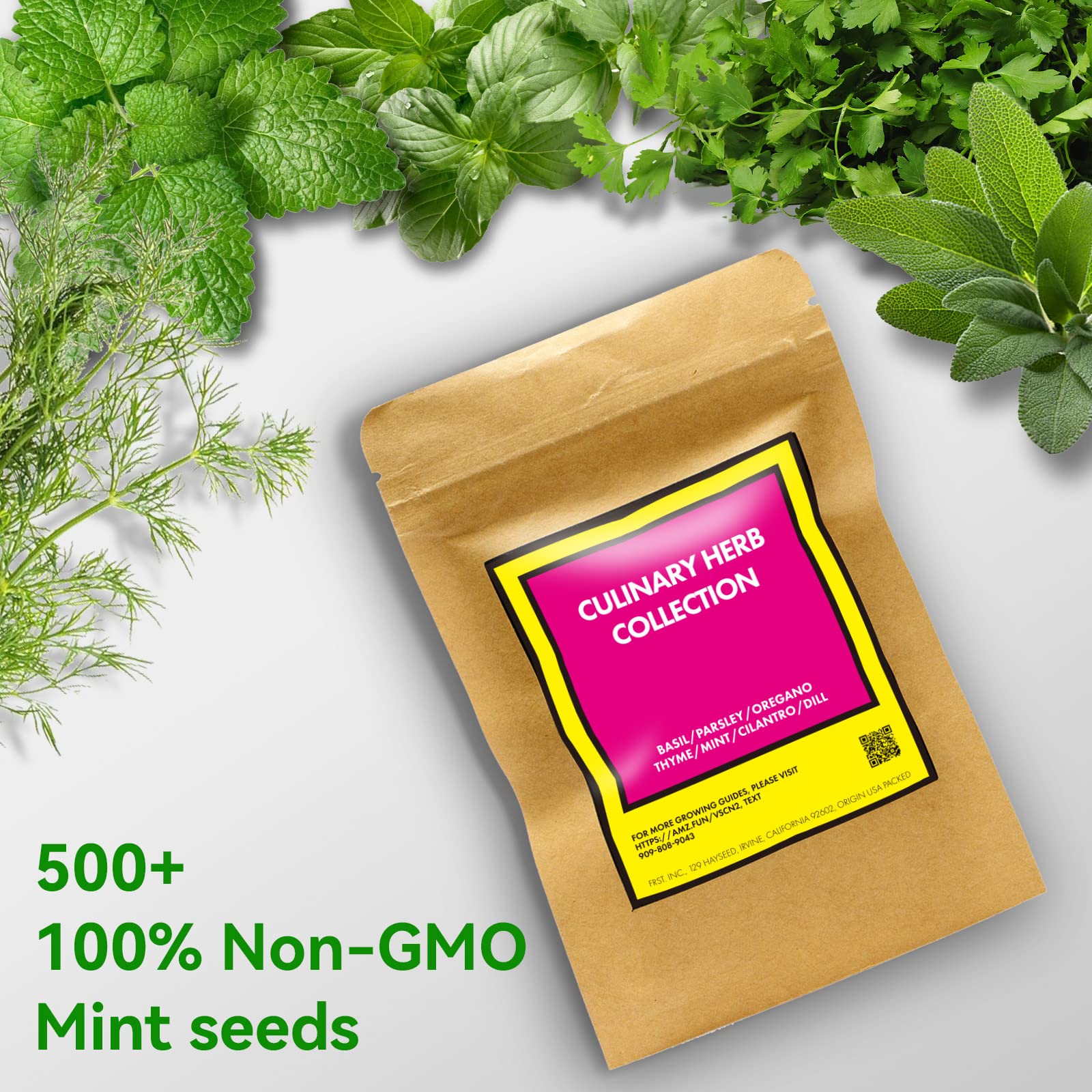 LYKO Basil Cilantro Dill Mint Seed Starter Kit for Hydroponics Growing System, Vegetable Pod Kits for Planting Indoor Garden 500+ Seeds (Basil, Parsley, Oregano, Thyme, Mint, Cilantro & Dill) 7 Pods