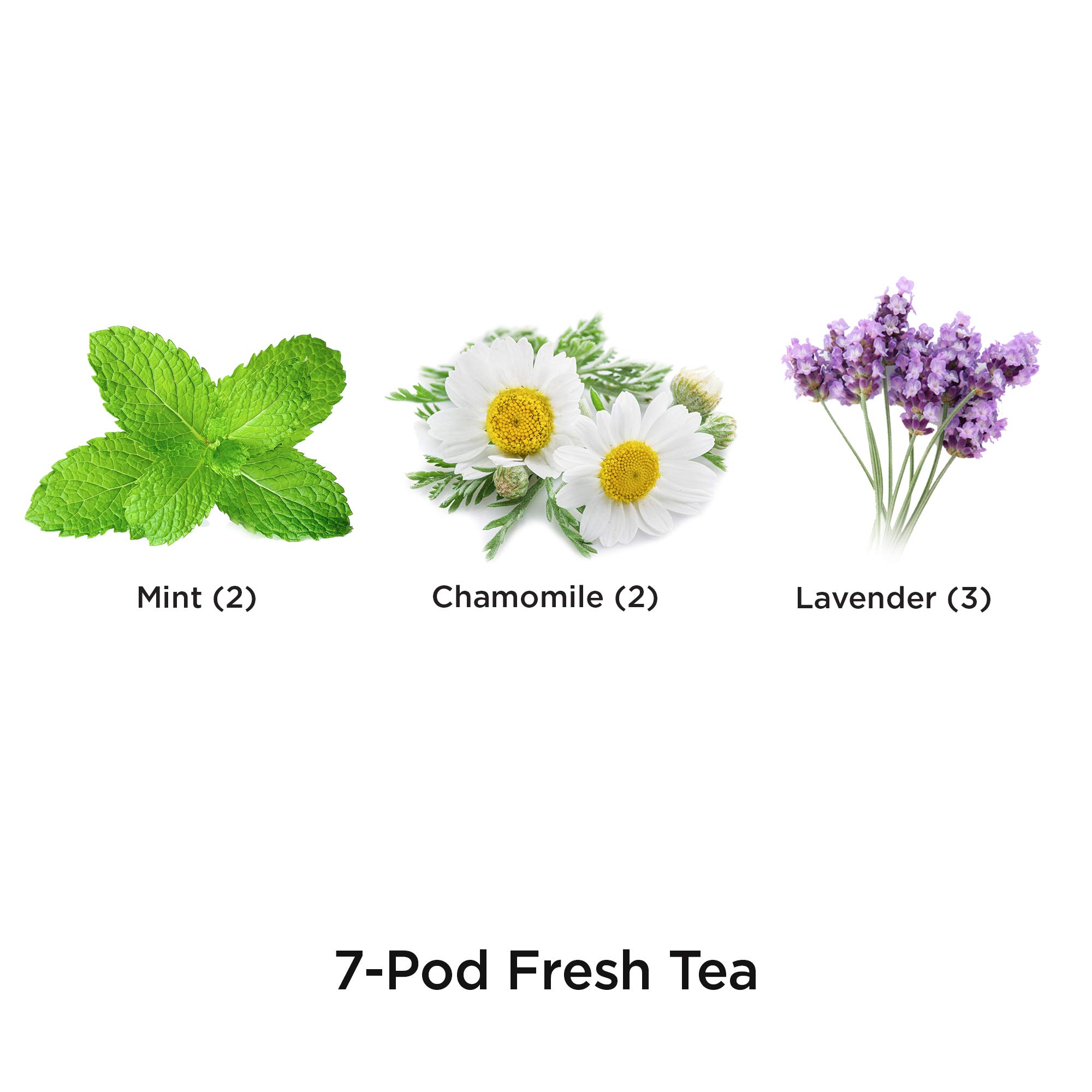 AeroGarden Fresh Tea Seed Kit, 7-Pod