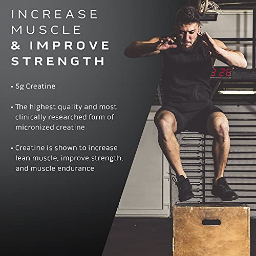 Creatine Monohydrate Powder | MuscleTech Platinum | Pure Micronized | Muscle Recovery + Builder for Men & Women | Workout Supplements | Unflavored (80 Servings)