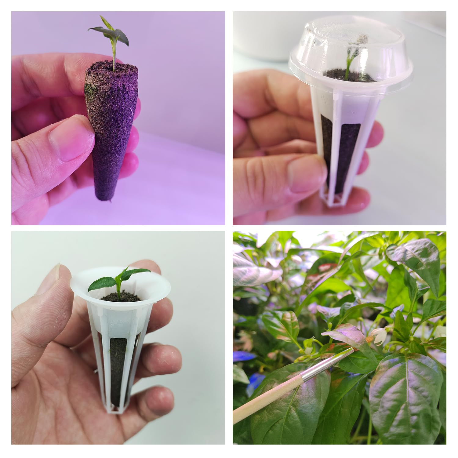 82pcs Seed Pod Kits for Aerogarden, Indoor Herb Hydroponics Growing System Starter Kit with 24Grow Sponges,24pods Labels, 12Grow Baskets, 12Plant Spacer Kit,10pcs Pollinating Tool