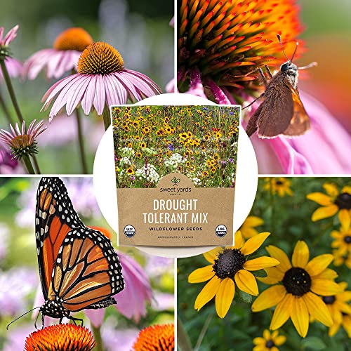 Sweet Yards Seed Co. Drought Tolerant Wildflowers Mix β Extra Large Packet β Over 7,500 Open Pollinated Non-GMO Seeds β 21 Different Dryland Species!