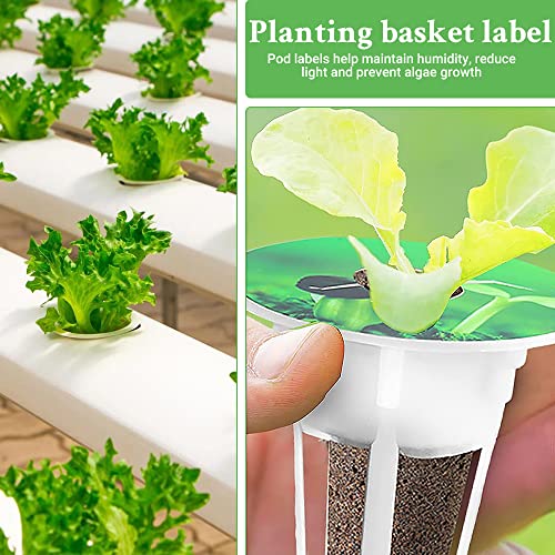 Anyangjia Seed Pods for AeroGarden,120P Hydroponic Garden Accessories Hydroponics Supplies (120P)