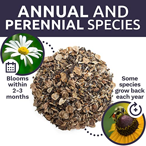 Sweet Yards Seed Co. Drought Tolerant Wildflowers Mix β Extra Large Packet β Over 7,500 Open Pollinated Non-GMO Seeds β 21 Different Dryland Species!