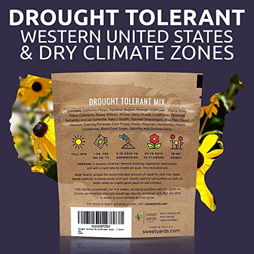 Sweet Yards Seed Co. Drought Tolerant Wildflowers Mix β Extra Large Packet β Over 7,500 Open Pollinated Non-GMO Seeds β 21 Different Dryland Species!