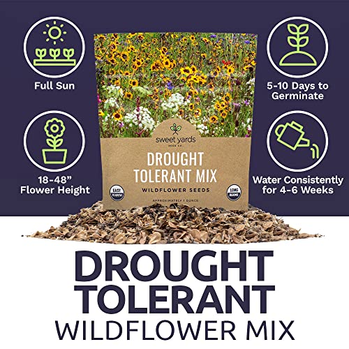 Sweet Yards Seed Co. Drought Tolerant Wildflowers Mix β Extra Large Packet β Over 7,500 Open Pollinated Non-GMO Seeds β 21 Different Dryland Species!