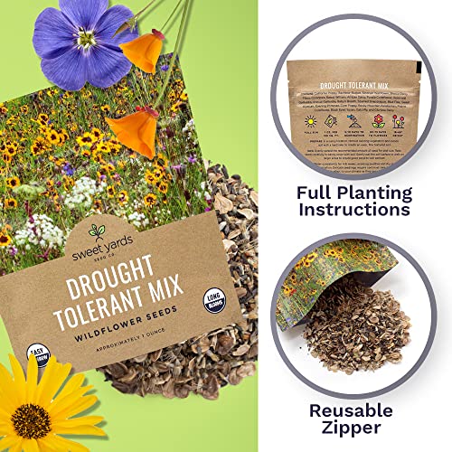 Sweet Yards Seed Co. Drought Tolerant Wildflowers Mix β Extra Large Packet β Over 7,500 Open Pollinated Non-GMO Seeds β 21 Different Dryland Species!