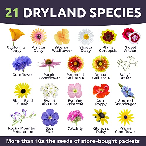 Sweet Yards Seed Co. Drought Tolerant Wildflowers Mix β Extra Large Packet β Over 7,500 Open Pollinated Non-GMO Seeds β 21 Different Dryland Species!