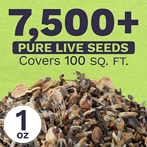 Sweet Yards Seed Co. Drought Tolerant Wildflowers Mix β Extra Large Packet β Over 7,500 Open Pollinated Non-GMO Seeds β 21 Different Dryland Species!