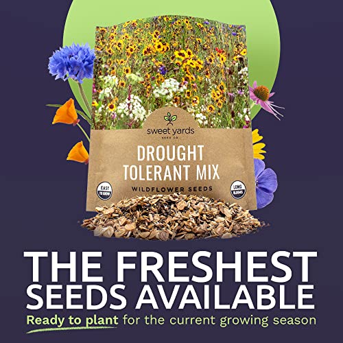 Sweet Yards Seed Co. Drought Tolerant Wildflowers Mix β Extra Large Packet β Over 7,500 Open Pollinated Non-GMO Seeds β 21 Different Dryland Species!