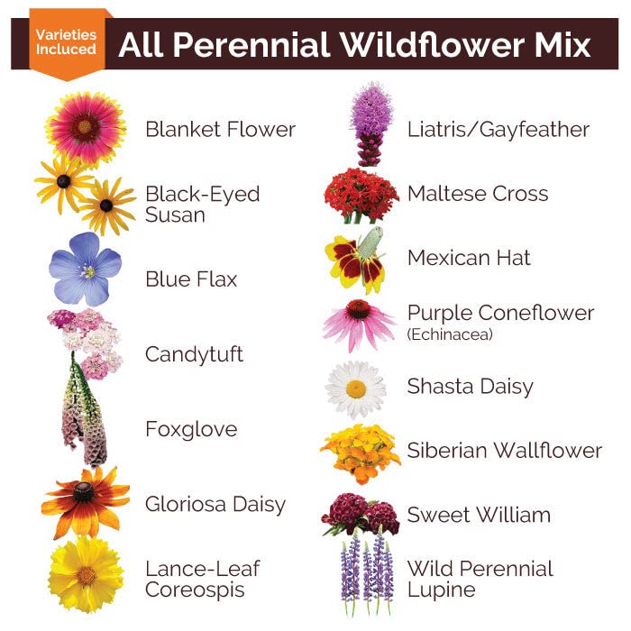 All Perennial Wildflower Seed Mix - 1 Pound - Mixed Wildflower Seeds, Attracts Bees, Attracts Butterflies, Attracts Hummingbirds, Attracts Pollinators, Easy to Grow & Maintain, Container Garden