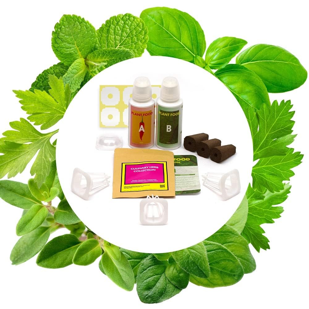 Herb Hydroponic Seeds for aerogarden Hydroponics Growing System, 3-Pod (350+ Seeds Include Basil, Parsley, Oregano, Thyme, Mint, Cilantro, and Dill)