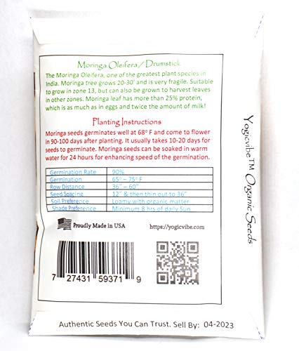 30 Organic Moringa Oleifera Drumstick Seeds Non-GMO for Sprouting, Planting, Cooking. Unprocessed Seeds with Wings. Grow Moringa - It Has More Than 25% Protein, Same As Eggs and 2X The Amount of Milk