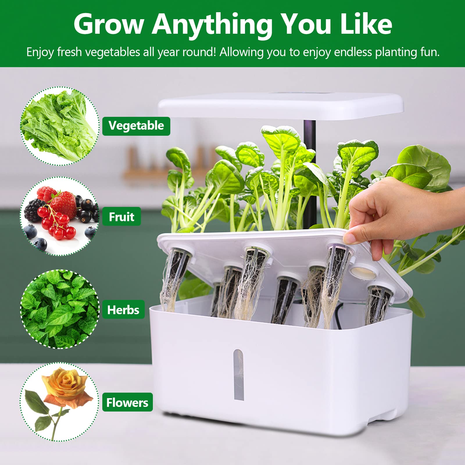 162 pcs Seed Pod Kit for Aerogarden, Grow Anything Kit for Hydroponics, Hydroponics Supplies with 40 Grow Sponges, 40 Grow Baskets, 40 Pod Labels, 40 Grow Domes, 1 A&B
