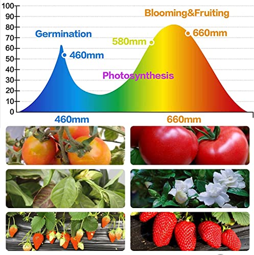 Plant Light for Indoor Plants - Red White Full Spectrum Plant Grow Light Adjustable Gooseneck 135 LED Grow Lamp with 3/9/12H Timer, 10 Dimmable Levels & 3 Switch Modes