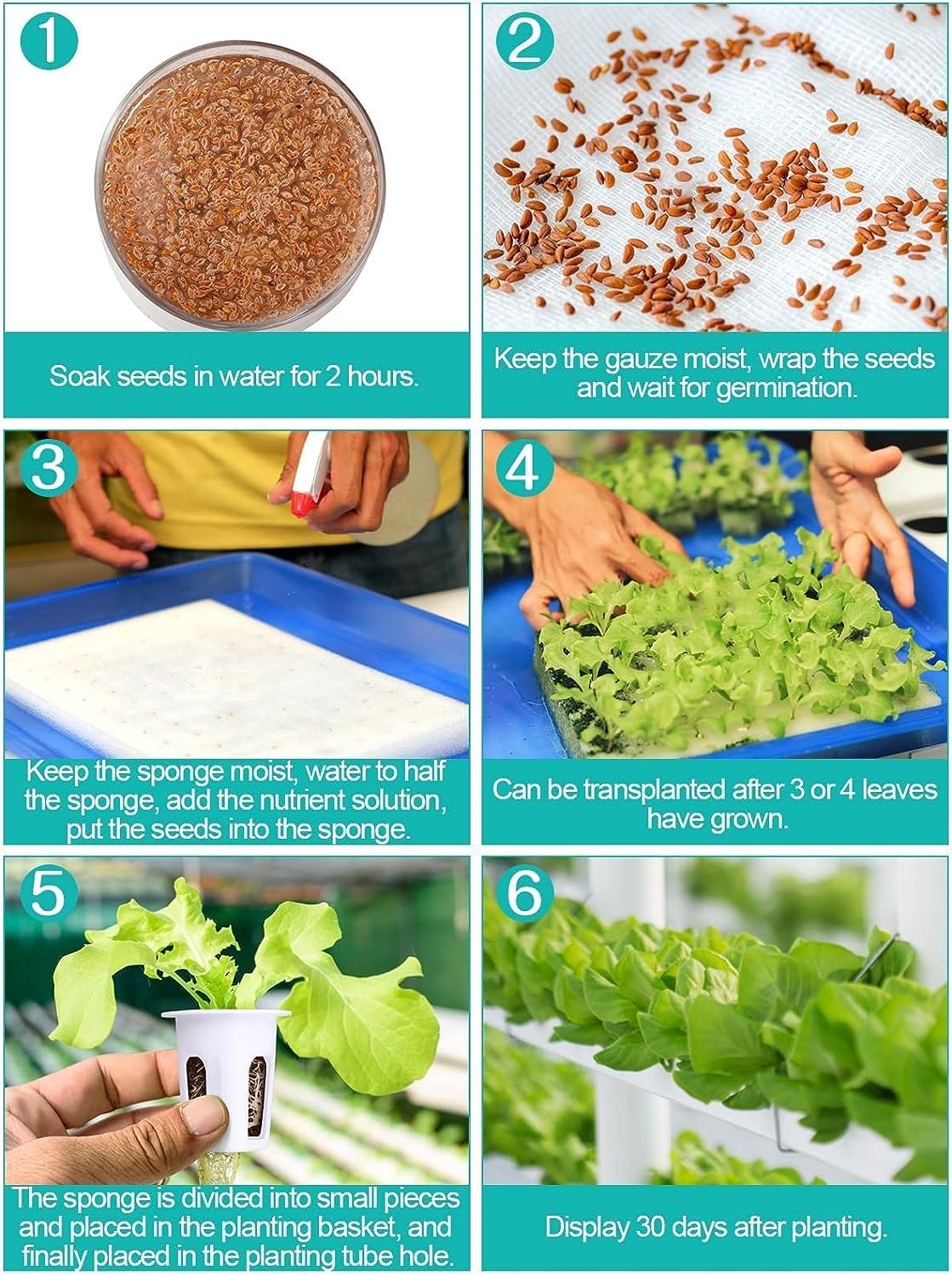 Hydroponic Grow Kit Hydroponics Growing System 4 Layers 72 Plant Sites Food-Grade Pipes Hydroponic Planting Equipment with Water Pump