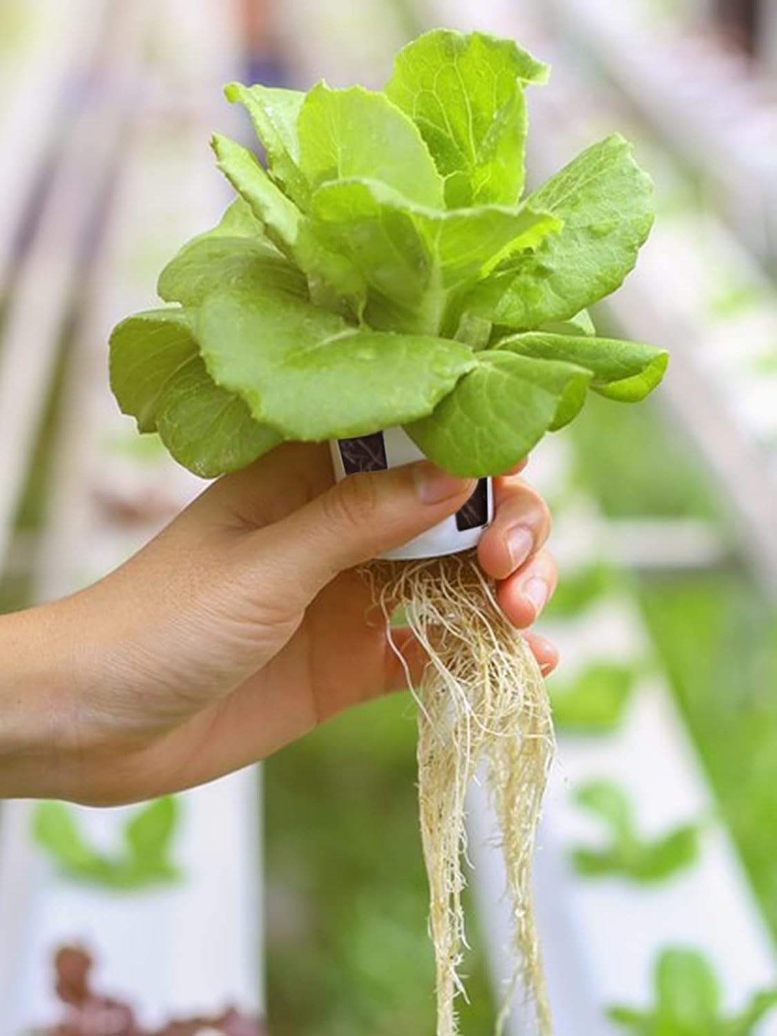Hydroponic Grow Kit Hydroponics Growing System 4 Layers 72 Plant Sites Food-Grade Pipes Hydroponic Planting Equipment with Water Pump