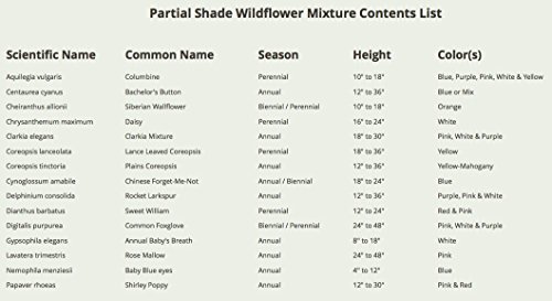 Seed Needs, 2.1 oz Bulk Package - 30,000 Seeds Partial Shade Butterfly Attracting Wildflower Mixture (99% Pure Live Seed - NO Filler) Annual Perennial Biennial
