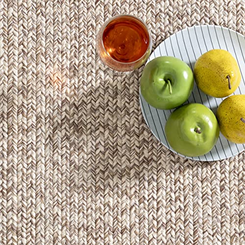 nuLOOM Wynn Braided Indoor/Outdoor Area Rug, 10' x 14', Tan