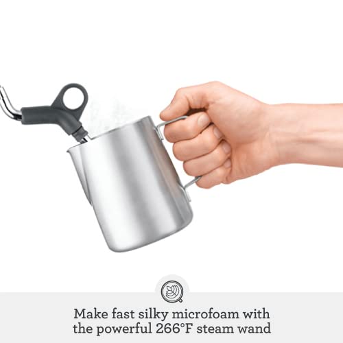 Breville Infuser Espresso Machine,61 ounces, Brushed Stainless Steel, BES840XL