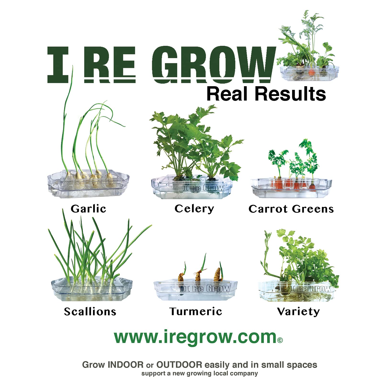Indoor Gardening System/Small/No Electricity Needed/All Year Round/Hydroponic Growing The Easy Way/Propagate-Regrow in Your Kitchen/I Re Grow