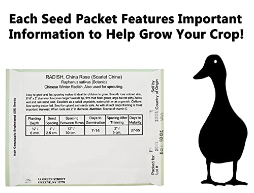 Set of 43 Assorted Vegetable & Herb Seed Packets - Over 10,000 Seeds! - Includes Mylar Storage Bag - Deluxe Garden Heirloom Seeds - 100% Non-GMO