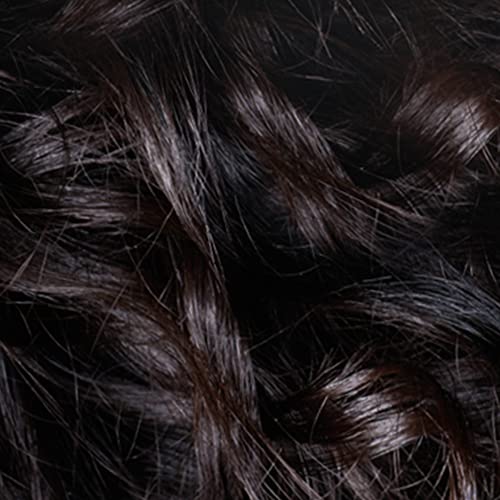 L'Oreal Paris Le Color One Step Toning Hair Gloss, Black Noir, 4 Ounce
