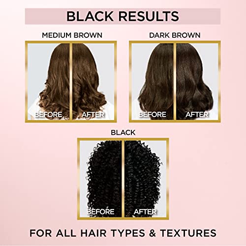 L'Oreal Paris Le Color One Step Toning Hair Gloss, Black Noir, 4 Ounce