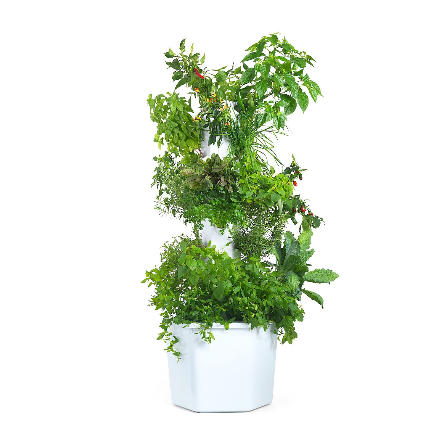 Aerospring Standard Outdoor Vertical Hydroponic Growing System Kit, Grow 27 Large Lettuce, Vegetables, Herbs, Fruit | 20 Gallon Water Tank, 20' Pump Cable, Smart WiFi Timer | Easy Assembly & Use