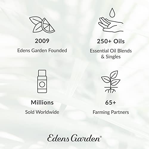 Edens Garden Top Synergy Blend Essential Oil 6 Set, Best 100% Pure Aromatherapy Starter Kit (for Diffuser & Therapeutic Use), 10 ml