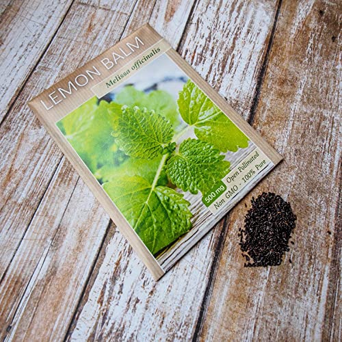 Lemon Balm Seeds - 1 Pound - Herb Seeds, Open Pollinated Seed Attracts Bees, Attracts Butterflies, Attracts Hummingbirds, Attracts Pollinators, Easy to Grow & Maintain, Fragrant, Container Garden