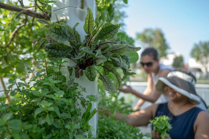 Aerospring Standard Outdoor Vertical Hydroponic Growing System Kit, Grow 27 Large Lettuce, Vegetables, Herbs, Fruit | 20 Gallon Water Tank, 20' Pump Cable, Smart WiFi Timer | Easy Assembly & Use