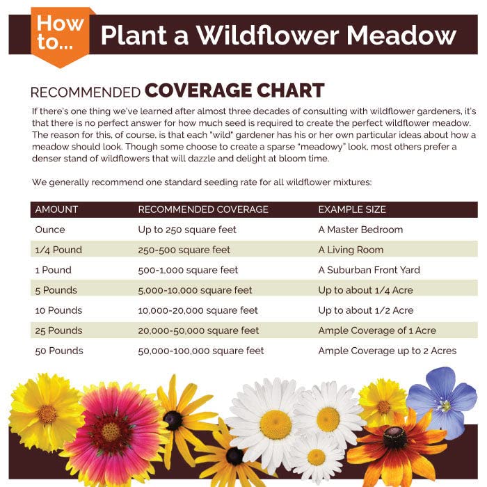 Late Bloomer - Fall Blooming Wildflower Seed Mix - 1 Pound - Mixed Wildflower Seeds, Attracts Bees, Attracts Butterflies, Attracts Hummingbirds, Attracts Pollinators, Easy to Grow & Maintain, Cut