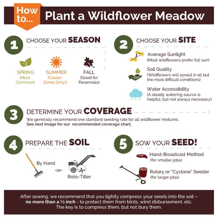 Late Bloomer - Fall Blooming Wildflower Seed Mix - 1 Pound - Mixed Wildflower Seeds, Attracts Bees, Attracts Butterflies, Attracts Hummingbirds, Attracts Pollinators, Easy to Grow & Maintain, Cut