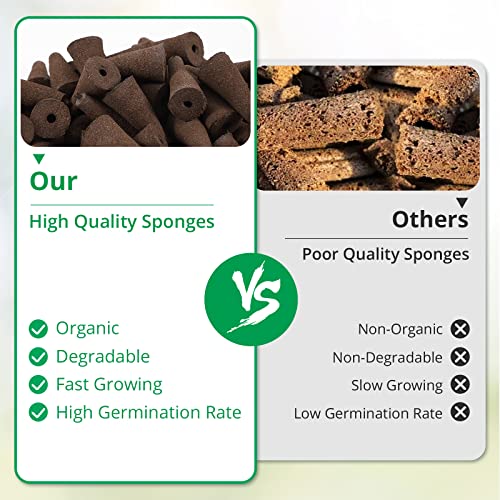 JustSmart 50 Pack Growth Sponges, Replacement Root Growth Sponges Seed Pods Compatible GS1 Series, Seedling Starter Sponges Kit for Hydroponic Growing System Indoor Garden