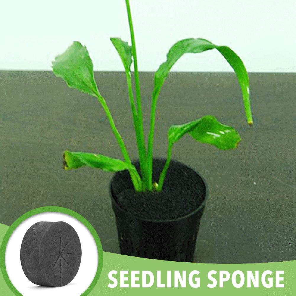 30 Pack Cloning Collars Inserts Premium Grade Foa, Plant Accessories Hydroponic Tower Aero Garden Pods Garden Clone Collar Hydroponics Sponge(Black)