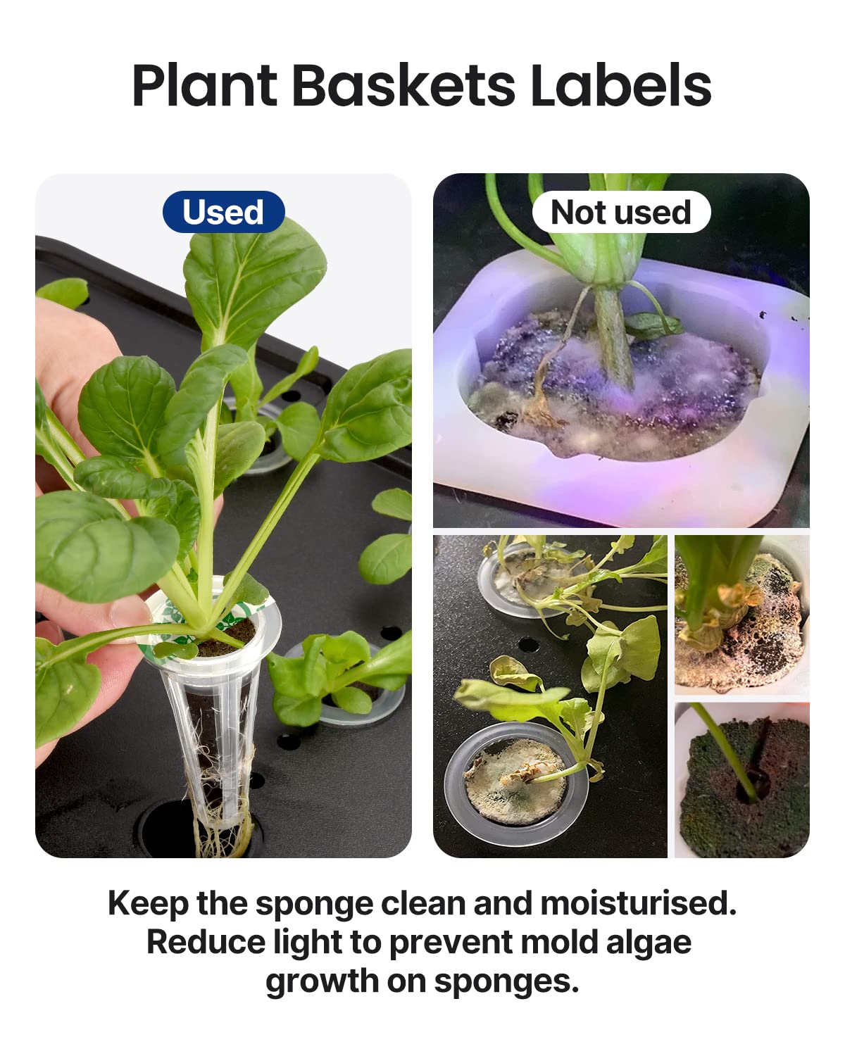 iDOO 102Pcs Seed Pot Labels Sticker, PVC Round Peel and Stick Hydroponic Garden Label, Plant Grow Basket Label