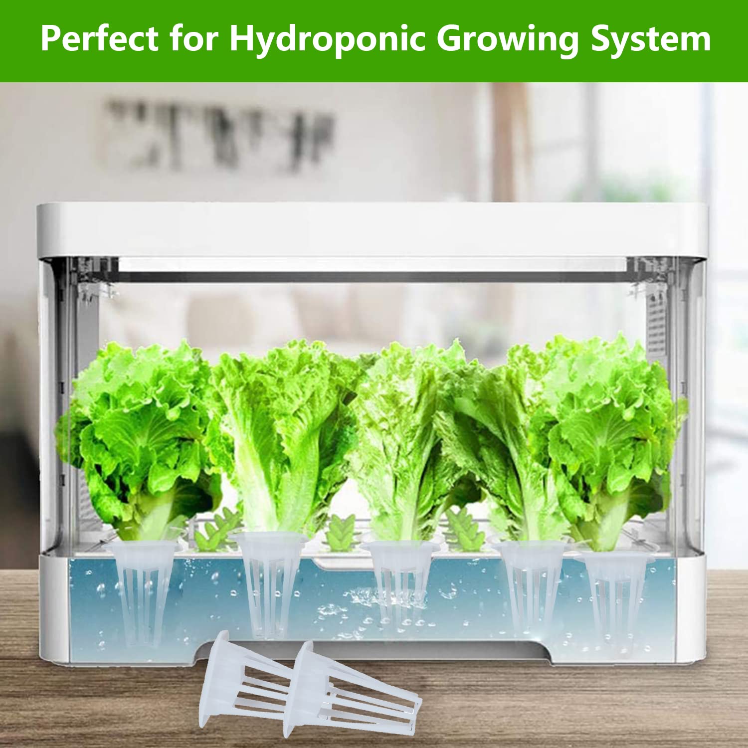 Ambgrow Seed Pods Kit for Indoor Hydroponic Garden, Square 50pcs Grow Baskets and 50pcs Grow sponges
