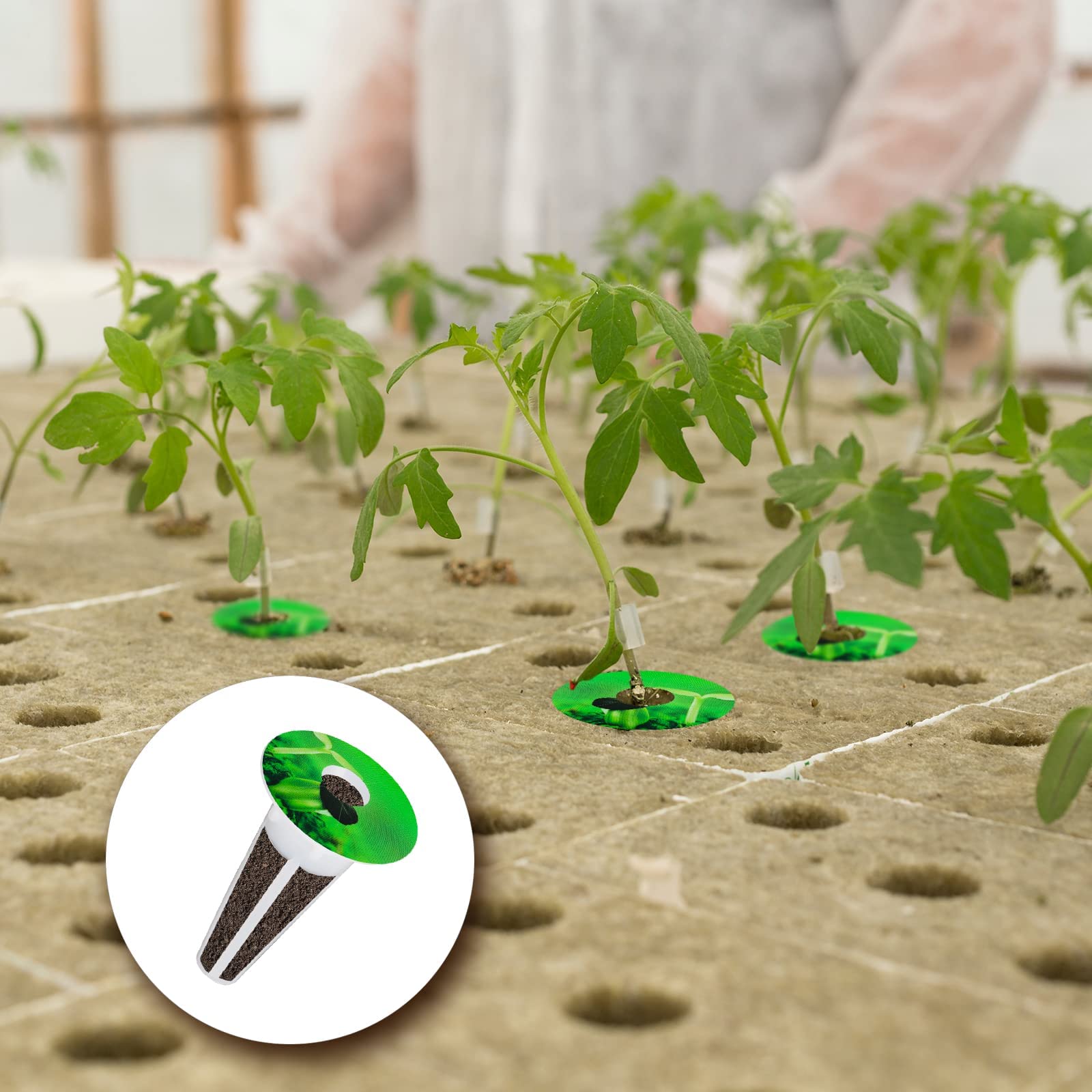 120 PCS Plant Grow Stickers, Grow Baskets Labels, Hydroponic Plant Label for Seedlings Garden Pods Plant Labels for Labeling Plants and Understanding Plant Growth