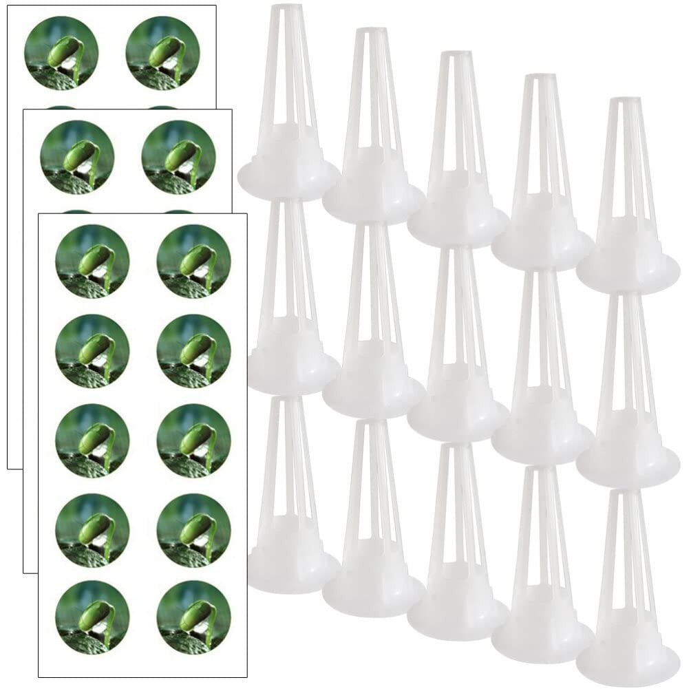 3 Sets Planting Net Cups Grow Basket Hydroponic Plant Growing Containers Garden Net Cup Sprout Cultivation Cup Heavy Duty Net Cups Nursery Cup Hydroponic Nursery Pot Plant Cup