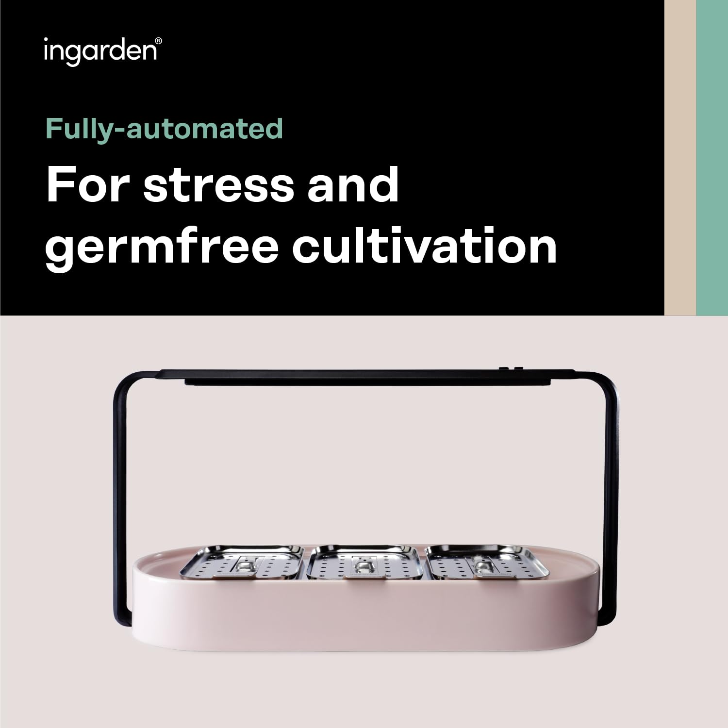 ingarden Microgreens Growing Kit - Organic Superfood Sprouting Seed Pads (3) | Auto 4-Stage LED Grow Lights & Hydroponic Watering System | Chic Steel Frame & Ceramic Bowl, Plastic-Free [Rose]