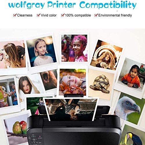 Wolfgray 12PK LC61 Compatible LC61BK LC61C LC61M LC61Y Ink Cartridge for Brother MFC-490CW MFC-495CW MFC-J615W MFC-J630W MFC-790CW MFC-290C DCP-165C DCP-385C DCP-585CW MFC-5490CN MFC-5890CN MFC-6490CW