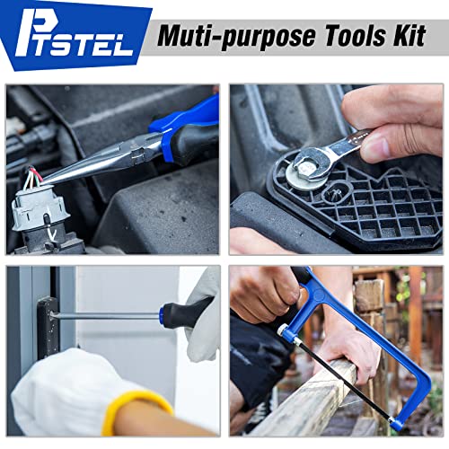 Home/Auto Repair Tool Kit, PTSTEL 179 Piece General Household Hand Tool Set For Apartment, Garage, Dorm and Office Use With Solid Carrying Tool Box