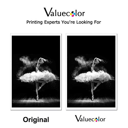 ValueColor Compatible Toner Cartridge Replacement for Brother TN221 Black TN221BK Use with MFC-9130CW HL-3140CW HL-3170CDW HL-3180CDW MFC-9330CDW MFC-9340CDW (2 Black)