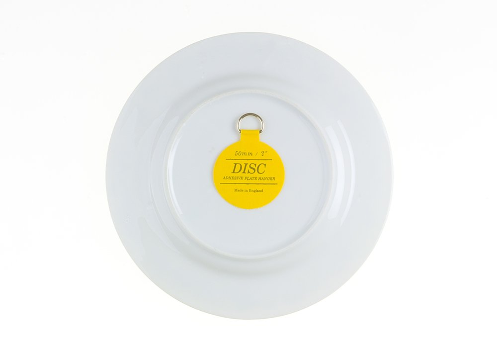 Disc 14224 50mm Adhesive Plate Hanger