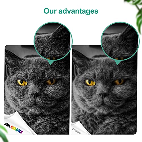 JMLCOLORS Compatible Brother TN760 Toner Replacement for High Yield TN-760 TN-730 TN760 TN730 Cartridges Work for DCP-L2550DW MFC-L2710DW HL-L2390DW HL-L2370DE MFC-L2750DW MFC-L2730DW Printer (2-Pack)